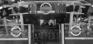 Biography | Darin Feinstein